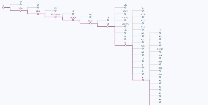 T2b5 Haplotree and Migration Story – Mic's X-Chromosome